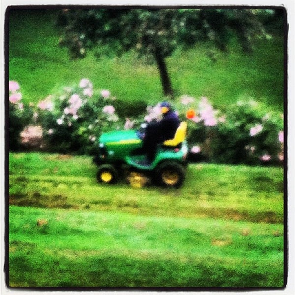 Bidston Court Gardens - Park
