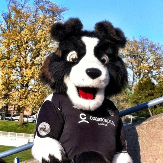 Royal Athletic Park - 3 tips from 357 visitors