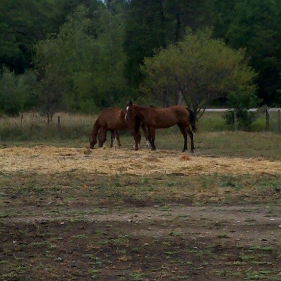 Photos at Brighton Recreation Area - State or Provincial Park