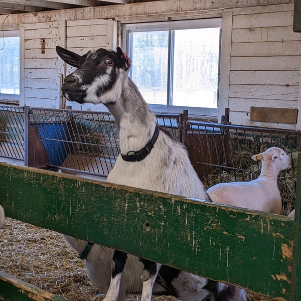 Photos at Rutgers University (Cook/Douglass Campus) - College Farm Road