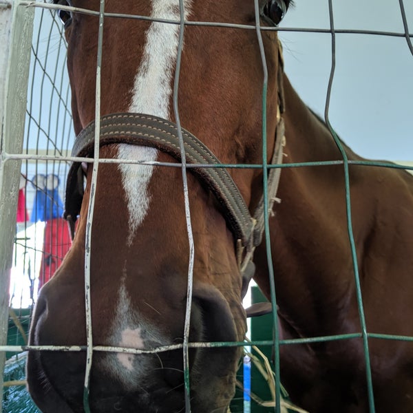 North Branch Park - 3 tips