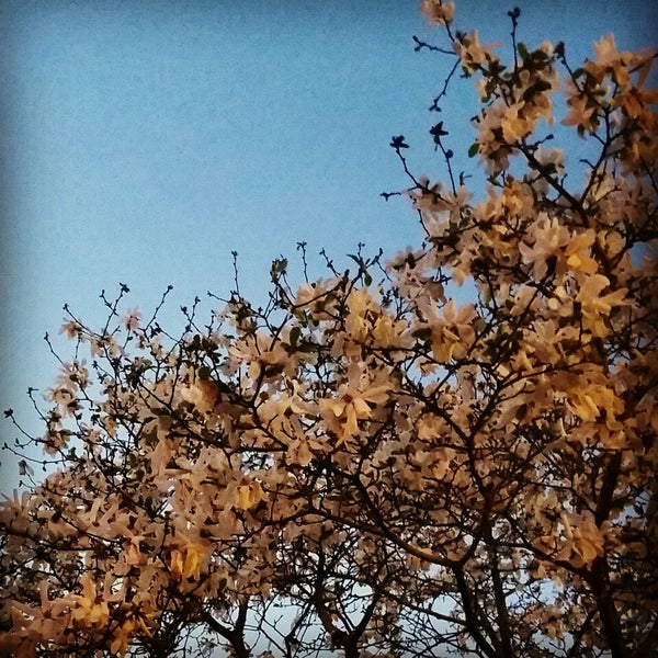 Photos at Rutgers University (Cook/Douglass Campus) - College Farm Road