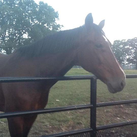 Photos at Rutgers University (Cook/Douglass Campus) - College Farm Road