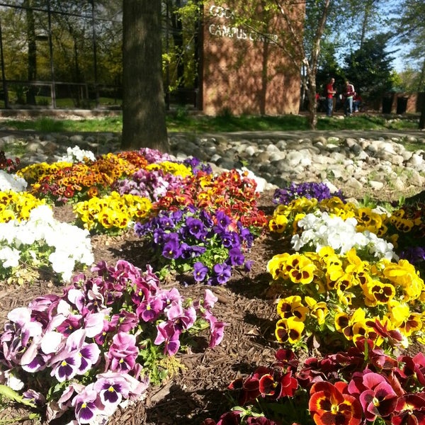 Photos at Rutgers University (Cook/Douglass Campus) - College Farm Road