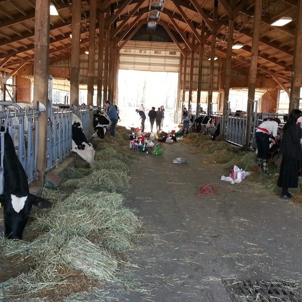 Photos at Rutgers University (Cook/Douglass Campus) - College Farm Road