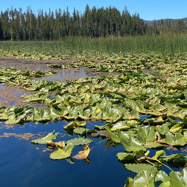 Hosmer Lake - 52 visitors