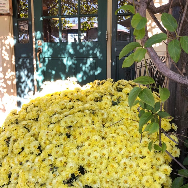 Del Monte Cafe - 14 tips