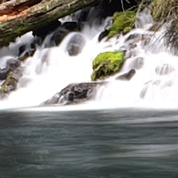 Wizard Falls Fish Hatchery - Camp Sherman, OR