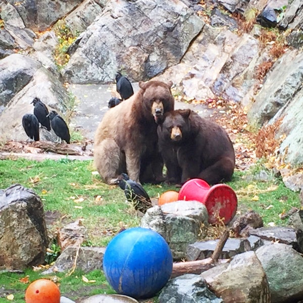 Photos at Bear Mountain Zoo and Trailsides Museum - 18 tips from 1038 ...