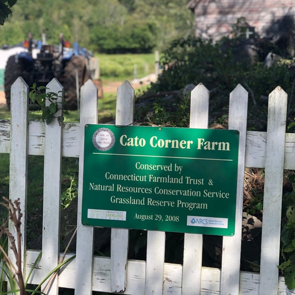 Cato Corner Farm - 8 tips