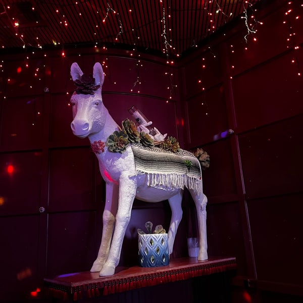Ghost Donkey - Bar