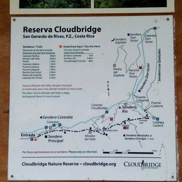 Cloudbridge Nature Reserve - 30 visitors