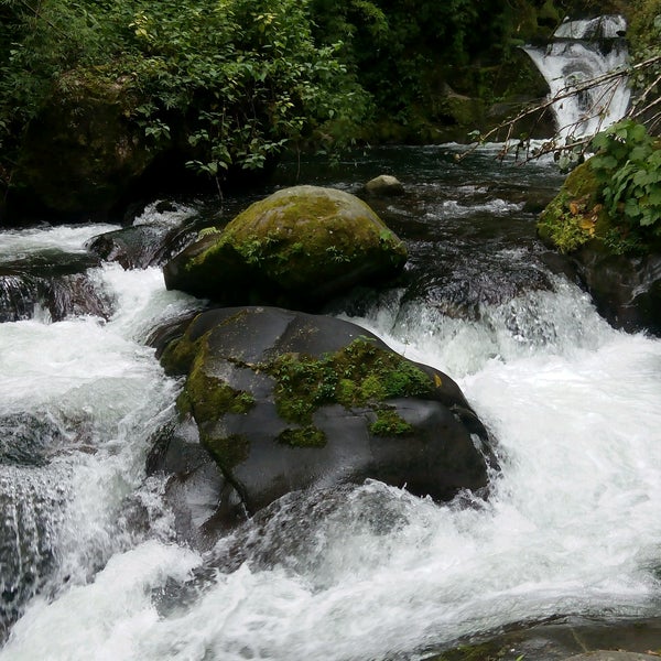Cloudbridge Nature Reserve - 30 visitors