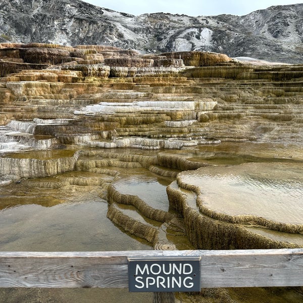 Mound Spring - Hot Spring in Yellowstone National Park