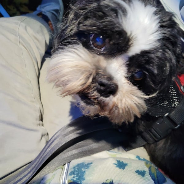 Gate C9 - Airport Gate