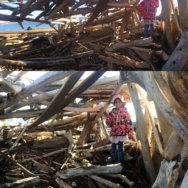 Point Robinson - 4 tips from 121 visitors