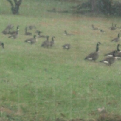 Great Valley Nature Center - Phoenixville, PA
