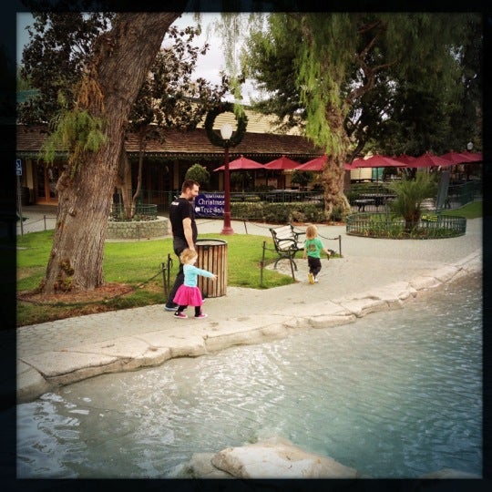 Tom's Farms Cheese and Wine Shoppe - Trilogy - 41 tips from 2907 visitors