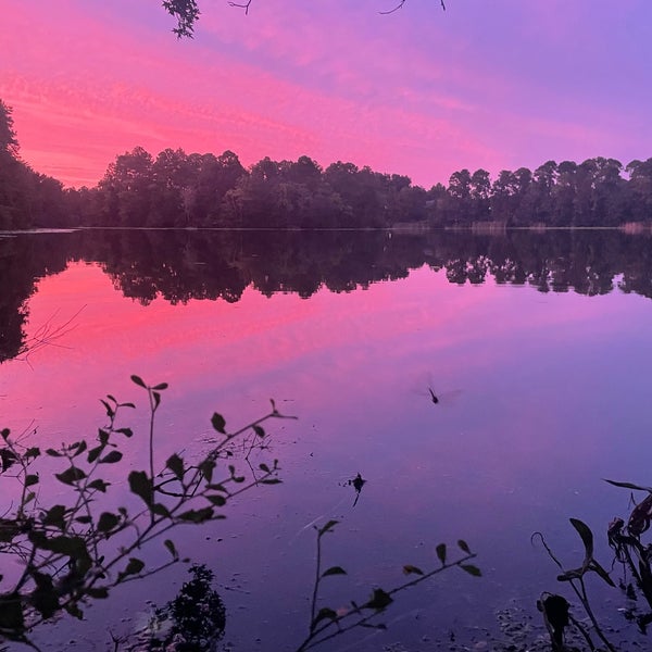 Robert W. Loftin Nature Trails at the University of North Florida ...