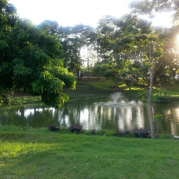 Photos at Palmiste Park - Park in Palmiste