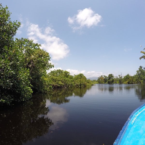 La Tobara - 20 visitors