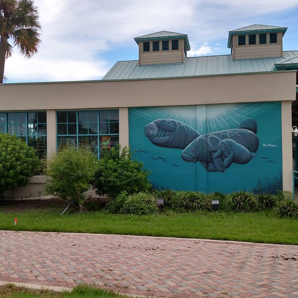 Manatee Observation & Education Center - Downtown Fort Pierce - Ft ...