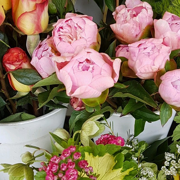 Photos at The Bud Stop - Union Street - 3 tips from 332 visitors