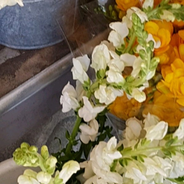 Photos at The Bud Stop - Union Street - 3 tips from 332 visitors