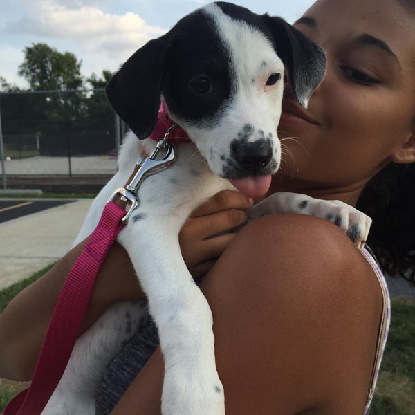 Pennsylvania SPCA - Animal Shelter in Philadelphia