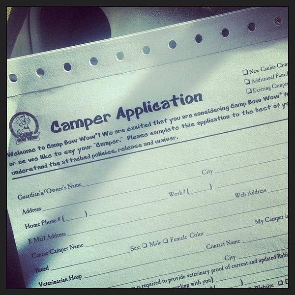 camp bow wow - Portland, ME