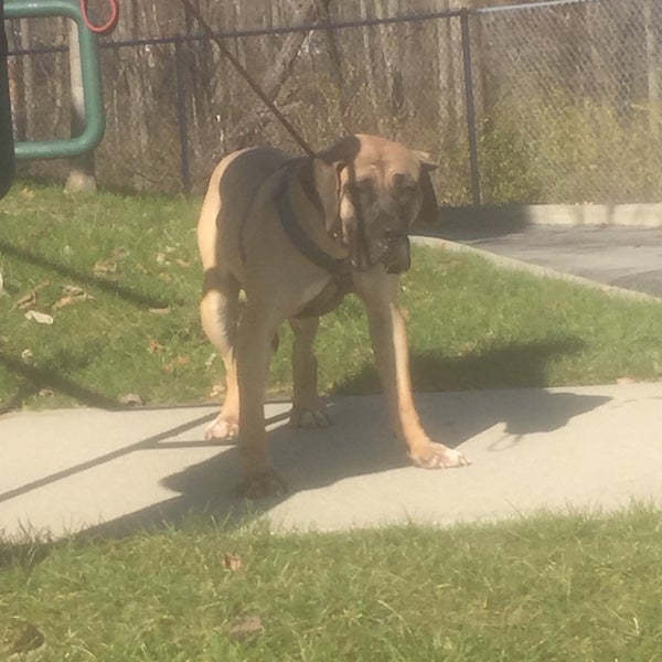 Humane Society of Indianapolis - Indianapolis, IN