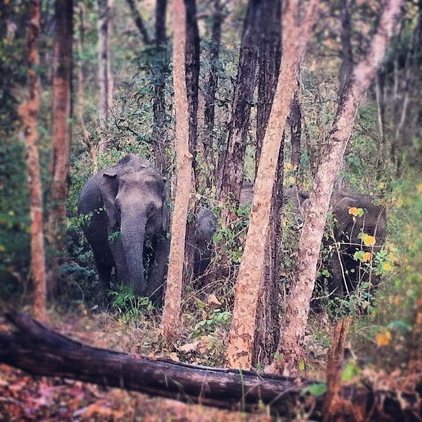 Kalpetta - Wayanad district, Kerala