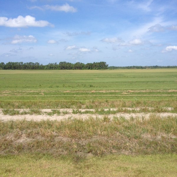 Mccall Sod Farm - 2704 Maulden Rd