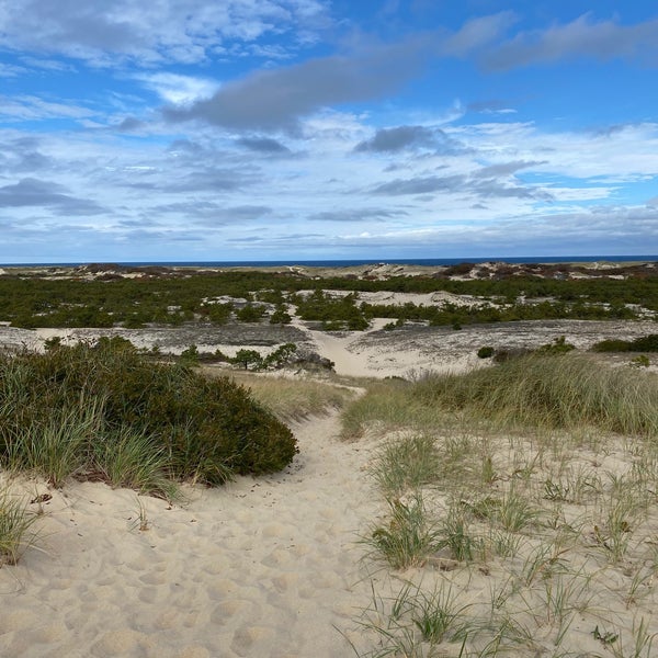 Ptown Sand Dunes - Beach