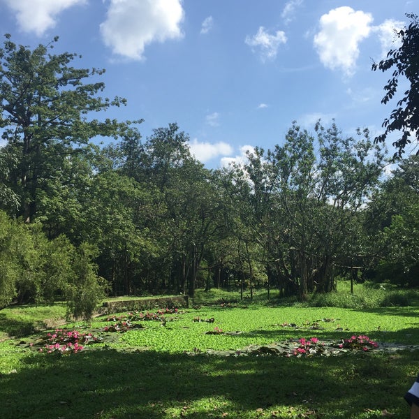 Photos at UP Lagoon - Quezon City District 4 - 3 tips from 181 visitors