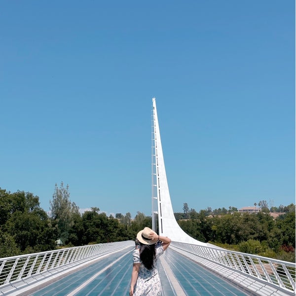 Turtle Bay Exploration Park - Turtle Bay - 10 tips from 1011 visitors