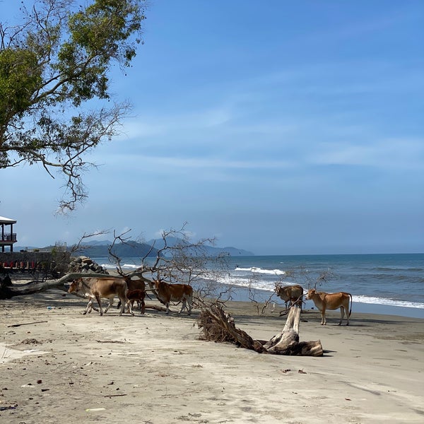 syahbandar beach - 2 tips