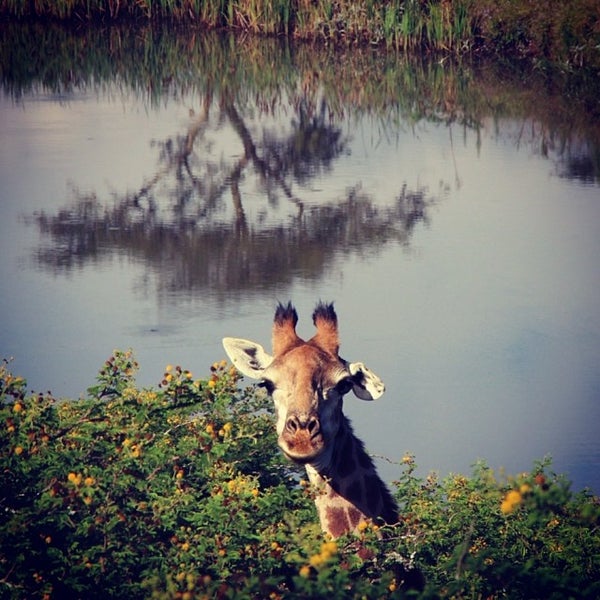 Albert Falls Dam - Cramond, KwaZulu-Natal