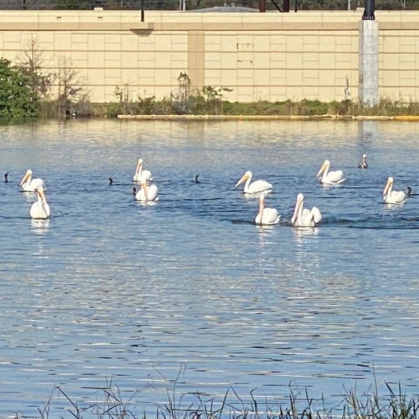 Lake Ivanhoe - Lake in North Orange