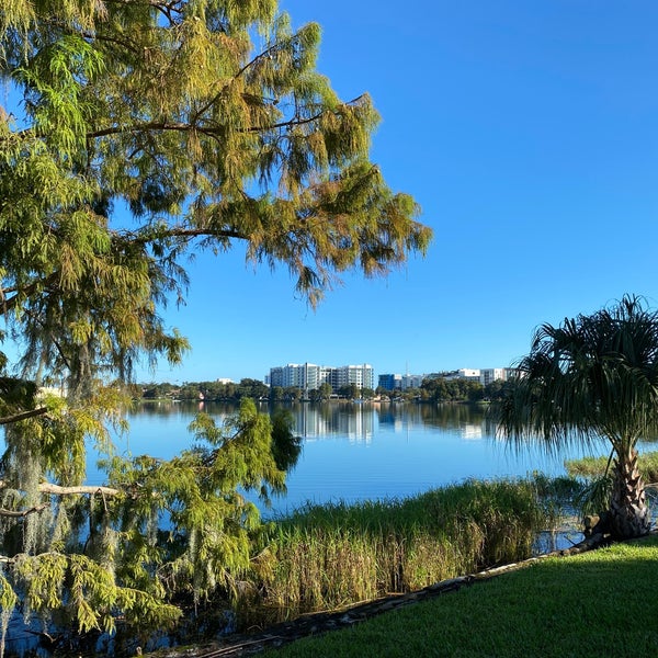 Lake Ivanhoe Park - Central Business District - 8 tips from 538 visitors