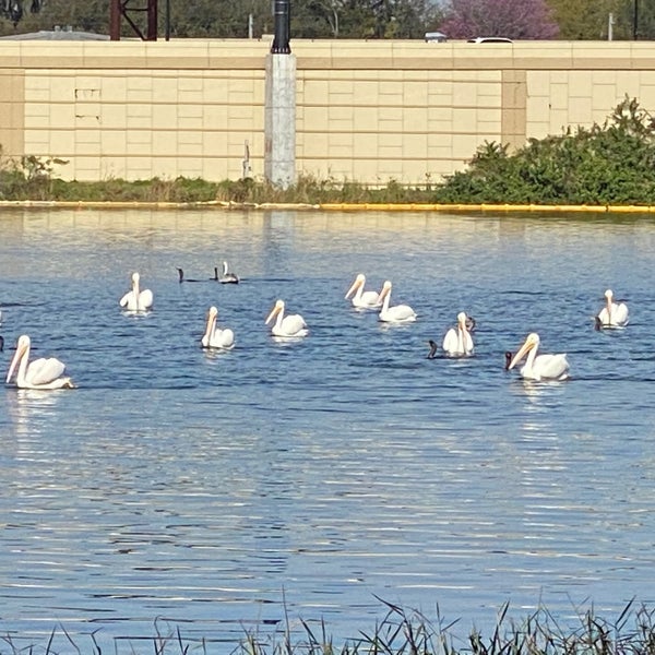 Lake Ivanhoe - Lake in North Orange