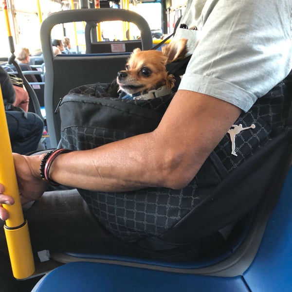 TriMet Bus Line 20 - Bus Line