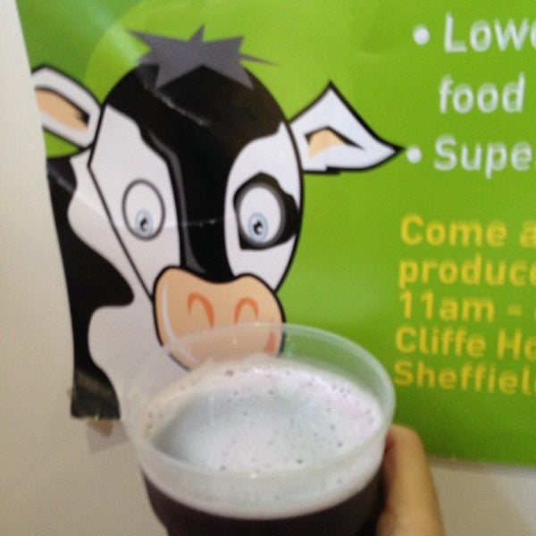 Photos at Our Cow Molly Dairy Ice Cream - Ice Cream Parlor