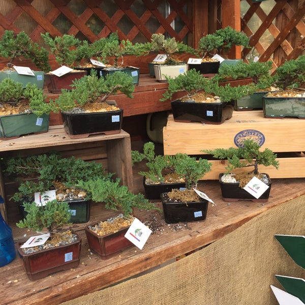 Van Putte Gardens - 1 tip