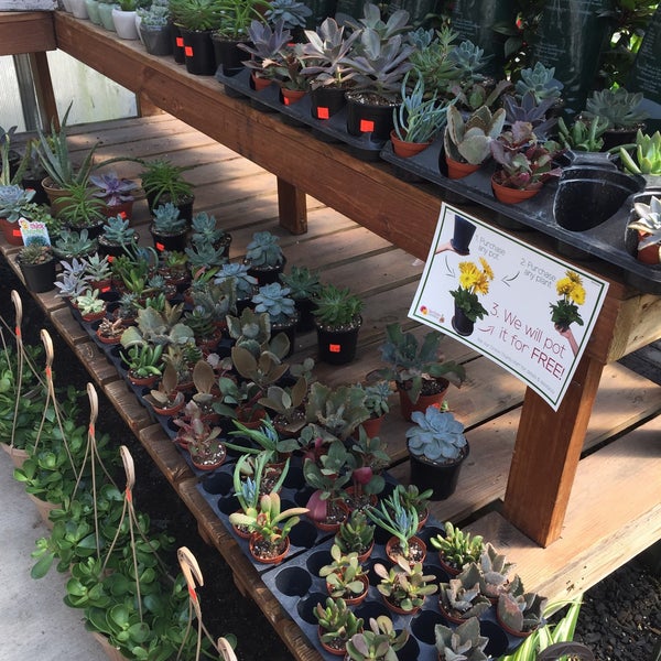 Van Putte Gardens - 1 tip