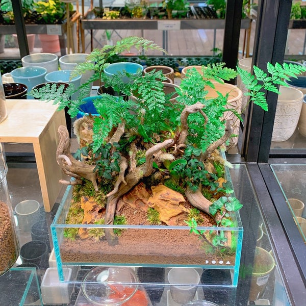 PROTOLEAF - 二子玉川 - 3 tips