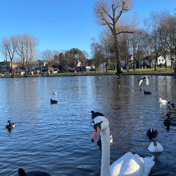 The Lough - 8 tips from 358 visitors