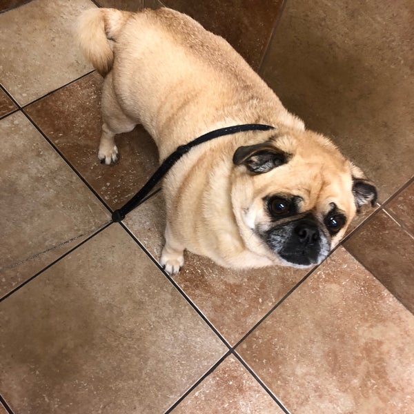 PetSmart - Pet Supplies Store in Madison