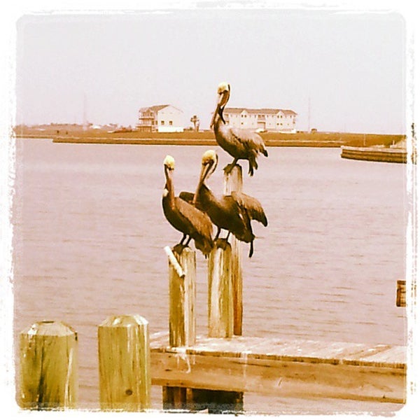 Photos at Whitecap Beach - Padre Island - Corpus Christi, TX