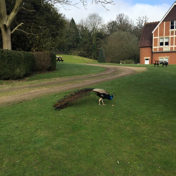 Pendley Manor Hotel Tring - Cow Lane